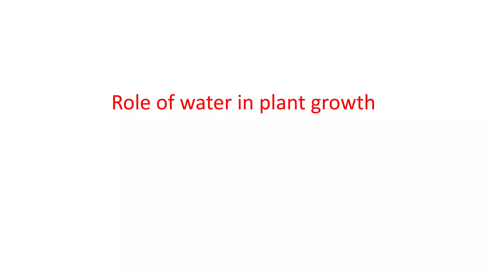 Role of water in plant growth | PPTX