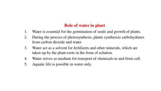 Role of water in plant growth | PPTX