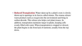 Role of water in plant growth | PPTX