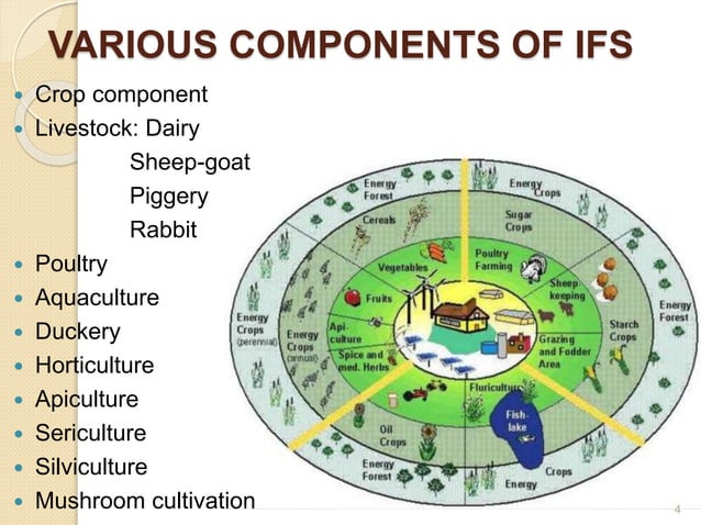 Role of women in IFS | PPT