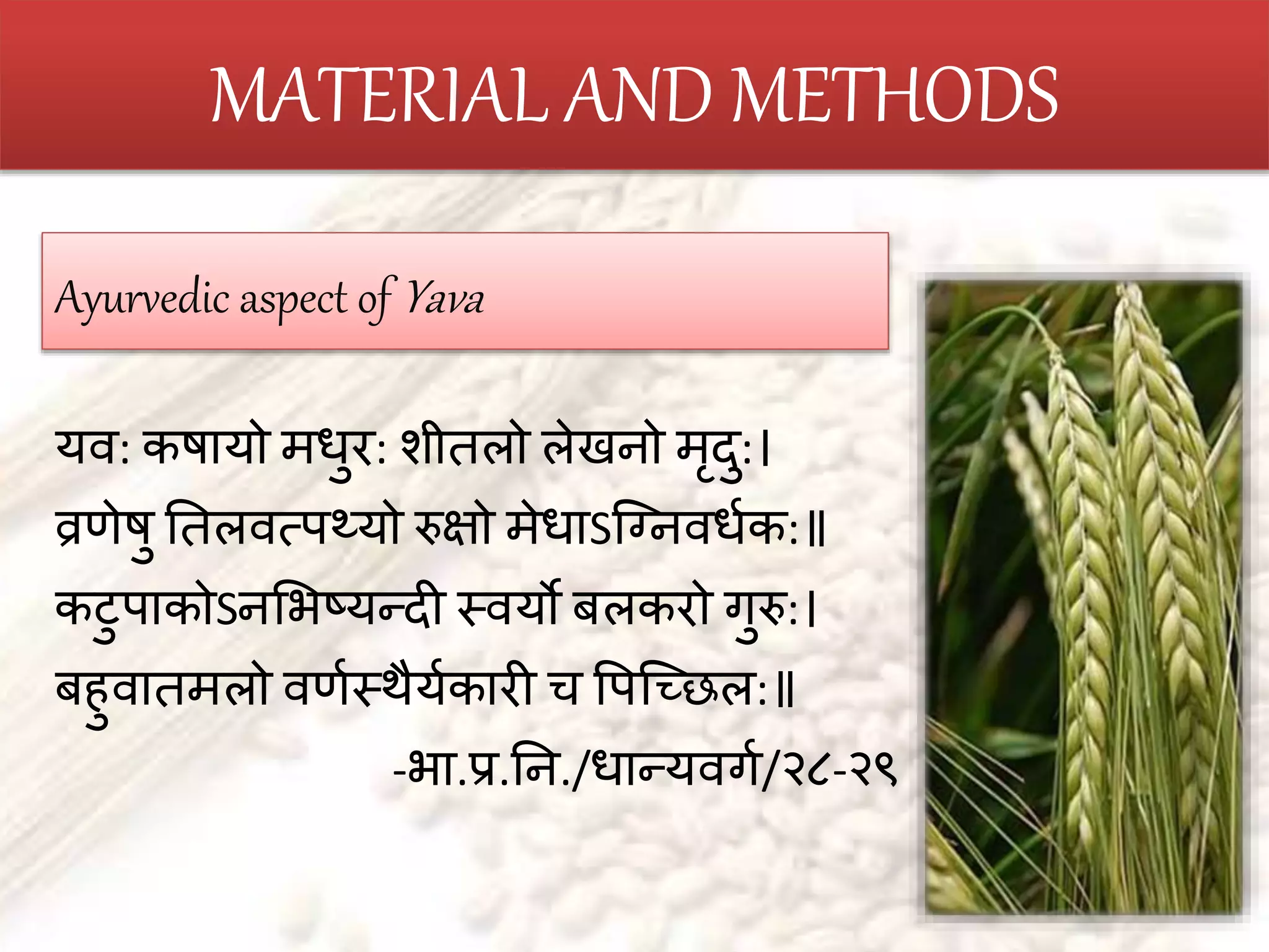 Role of yava as swasthahita aahar dravya | PPTX