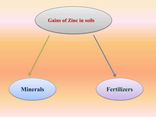 Role of zinc in crop production | PPTX