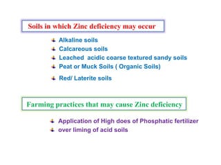 Role of zinc in crop production | PPTX