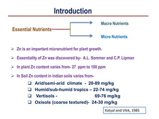 Role of zinc in crop production | PPTX