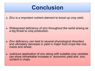 Role of zinc in crop production | PPTX