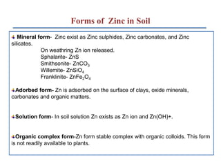 Role of zinc in crop production | PPTX