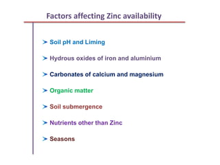 Role of zinc in crop production | PPTX