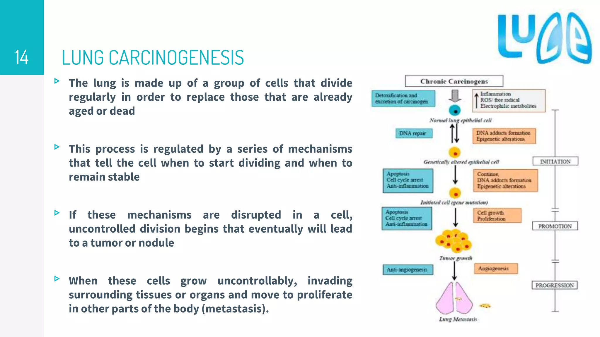 Role radiotherapy lung cancer manegement | PPTX