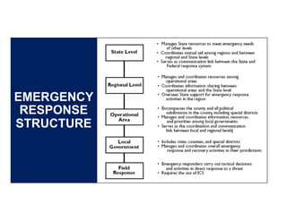 Roles-in-Emergency-Management-PPT-FINAL.pdf