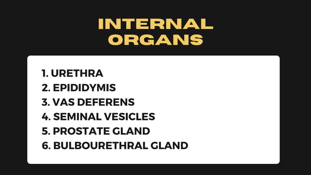 Roles-of-Hormones-in-the-Male-and-Female-Reproductive-System-Copy.pptx