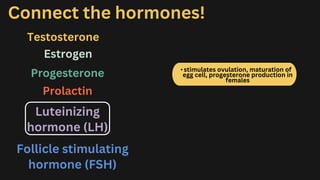 Roles-of-Hormones-in-the-Male-and-Female-Reproductive-System-Copy.pptx