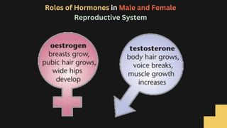 Roles-of-Hormones-in-the-Male-and-Female-Reproductive-System-Copy.pptx