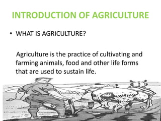 Roles and problems of agriculture | PPTX