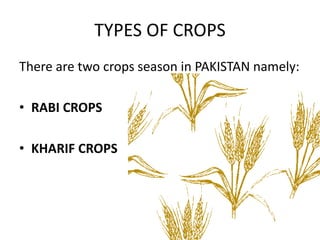 Roles and problems of agriculture | PPTX