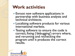 Roles and responsibilities of an IT software professional | PPT