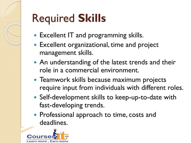 Roles and responsibilities of an IT software professional | PPT | Free ...