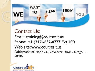 Roles and responsibilities of an IT software professional | PPT