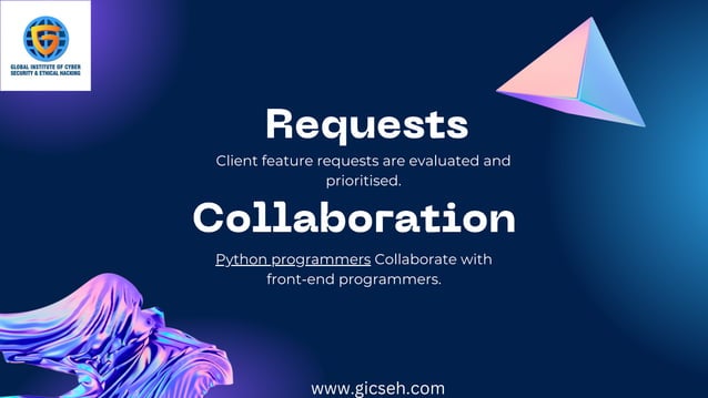 Roles and Responsibilities of a Python Programmer.pdf