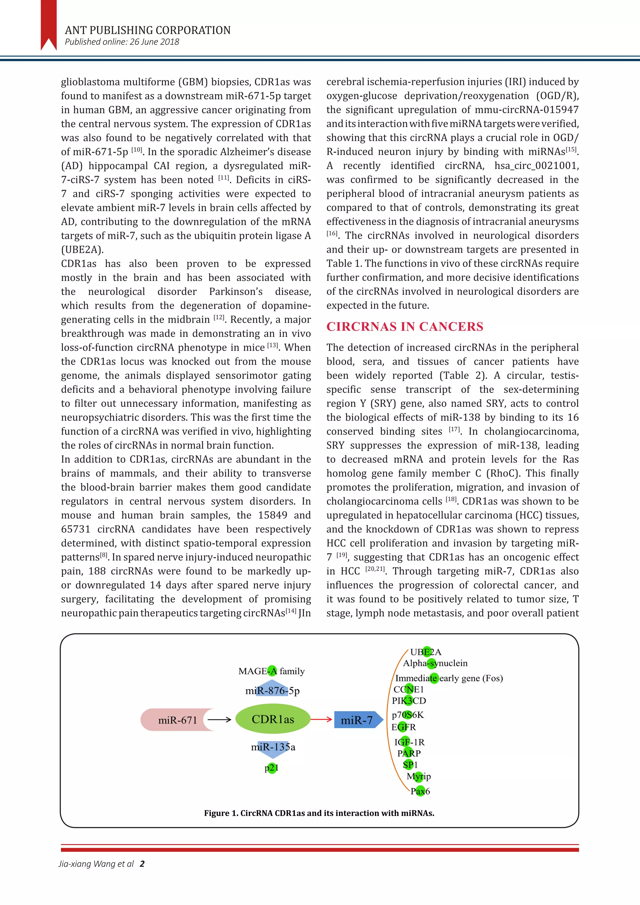 Roles of circular rn as and their interactions with micro rnas in human ...