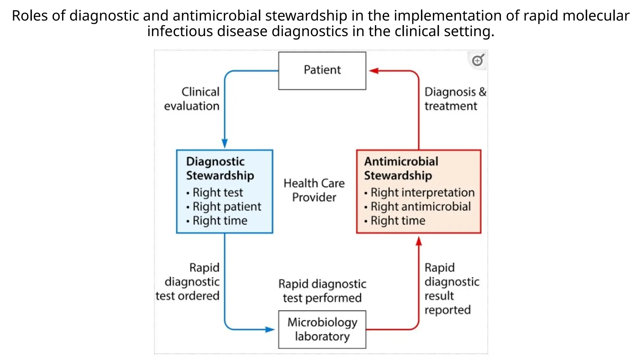 Roles of diagnostic and antimicrobial stewardship in the.pptx