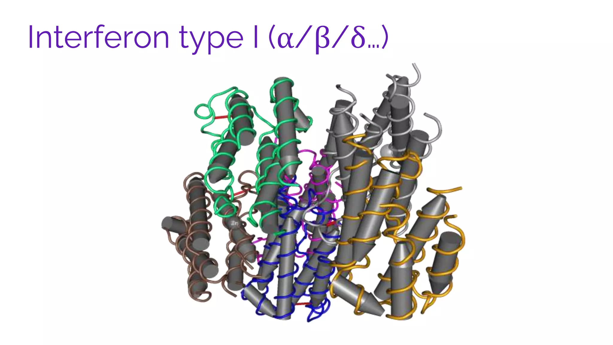 Roles of interferon in diseases. | PPTX
