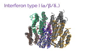 Roles of interferon in diseases. | PPTX