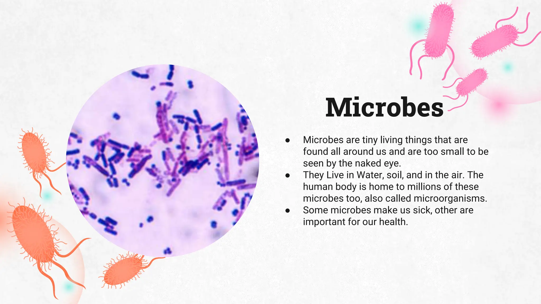 ROLES OF MICROBES IN BIOCONTROL BY ANKIT CHOUDHARY.ppsx