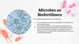 ROLES OF MICROBES IN BIOCONTROL BY ANKIT CHOUDHARY.ppsx