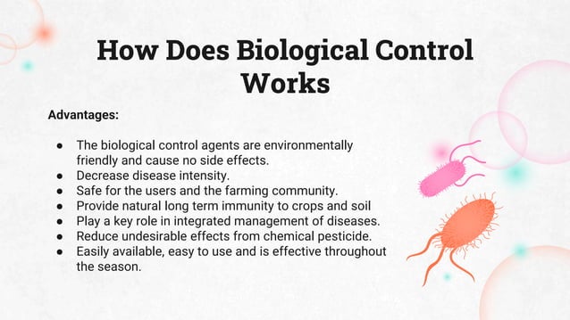 ROLES OF MICROBES IN BIOCONTROL BY ANKIT CHOUDHARY.ppsx | Agriculture ...