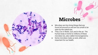 ROLES OF MICROBES IN BIOCONTROL BY ANKIT CHOUDHARY.ppsx