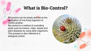 ROLES OF MICROBES IN BIOCONTROL BY ANKIT CHOUDHARY.ppsx