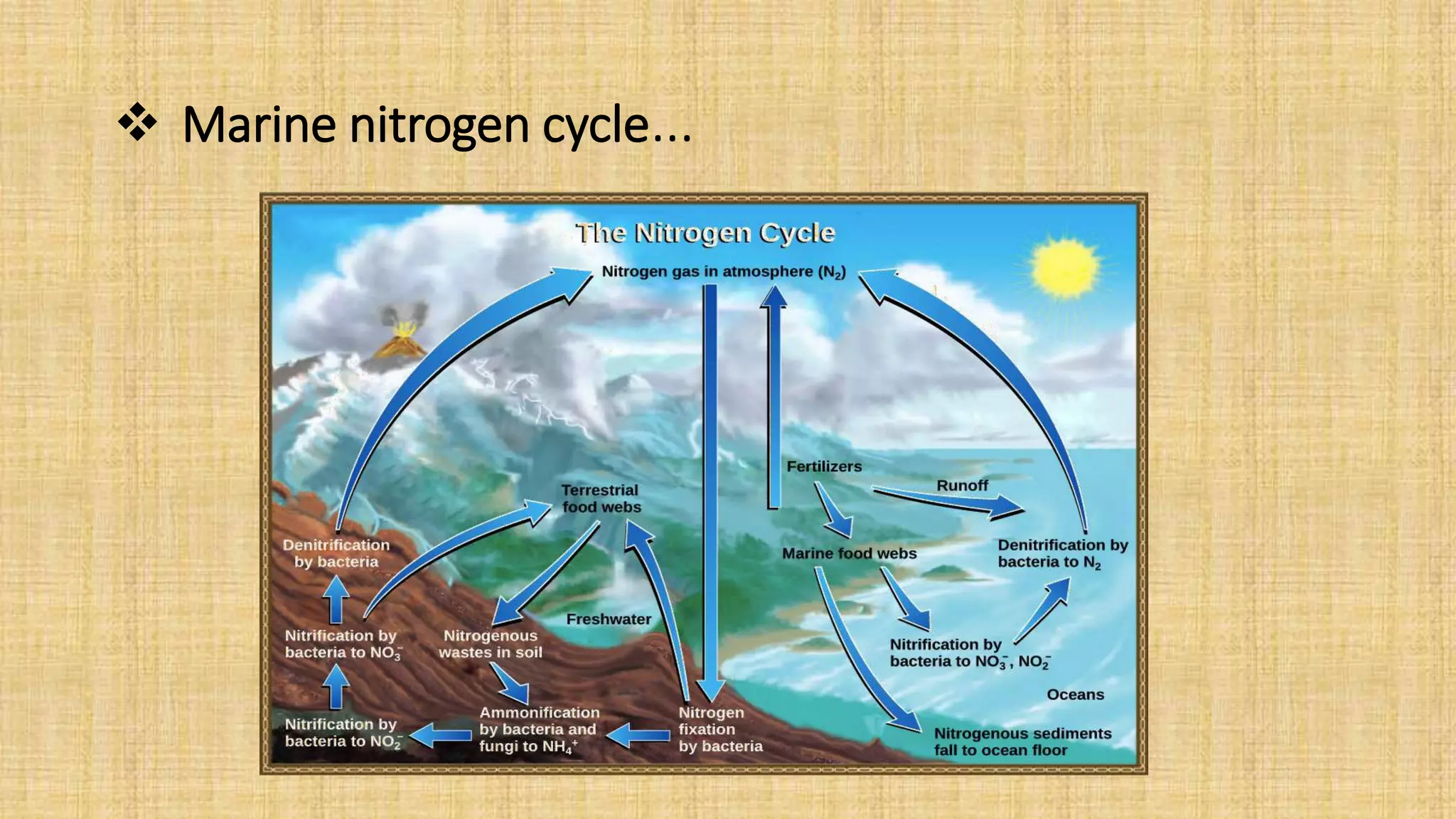 Roles of microbes in nitrogen cycle aritriya | PPTX