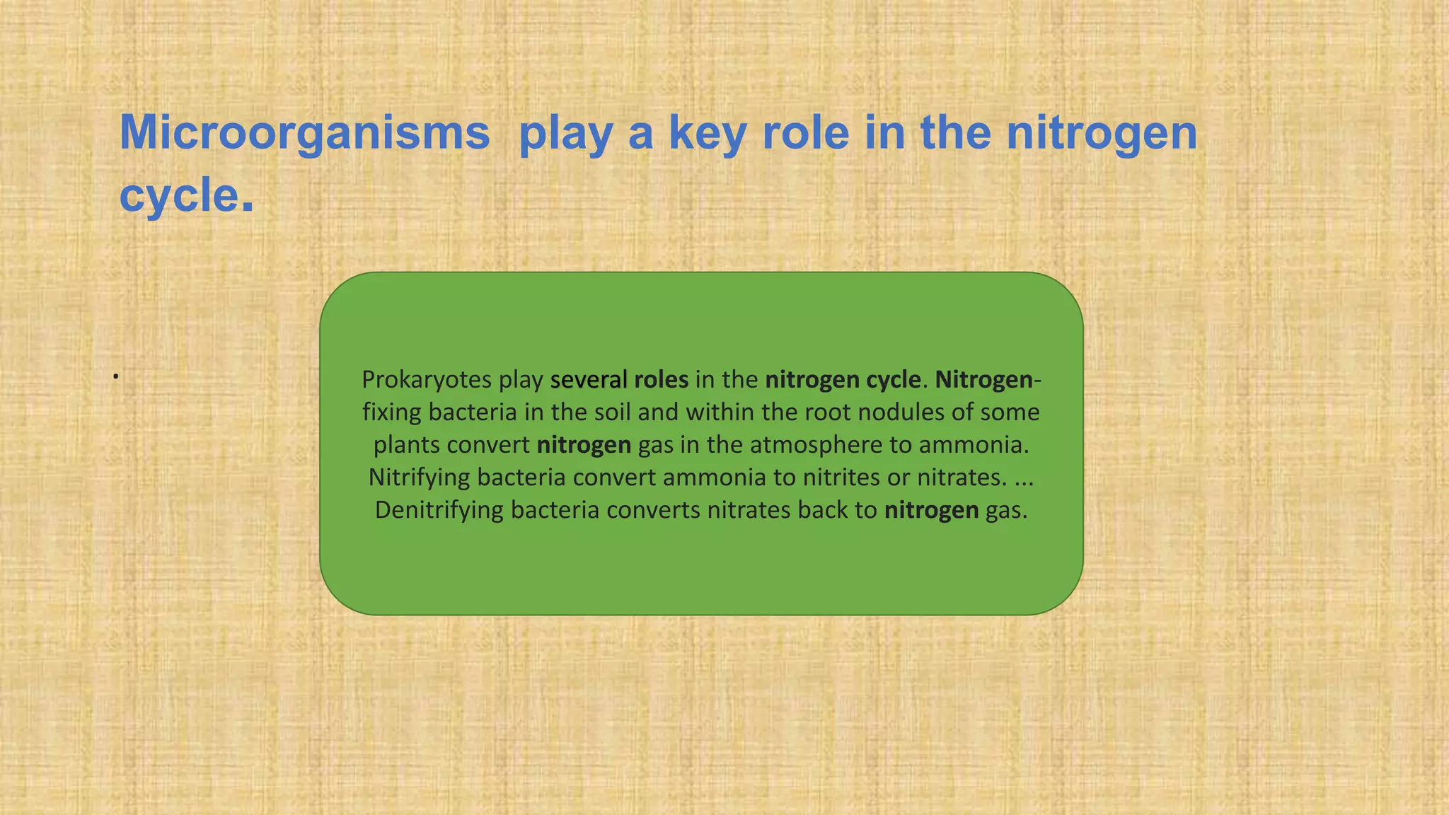Roles of microbes in nitrogen cycle aritriya | PPTX