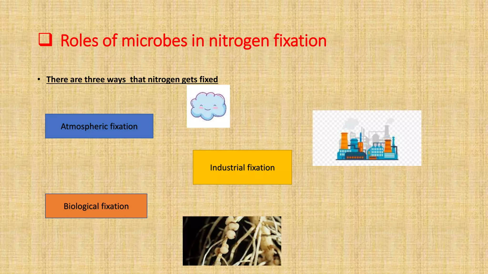 Roles of microbes in nitrogen cycle aritriya | PPTX