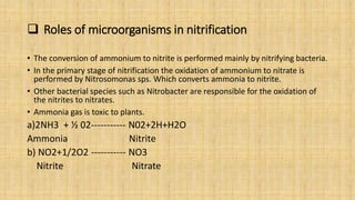 Roles of microbes in nitrogen cycle aritriya | PPTX