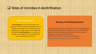 Roles of microbes in nitrogen cycle aritriya | PPTX