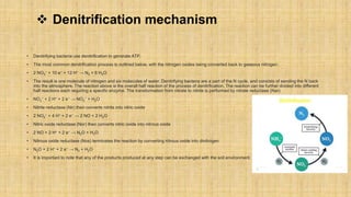 Roles of microbes in nitrogen cycle aritriya | PPTX