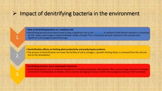 Roles of microbes in nitrogen cycle aritriya | PPTX