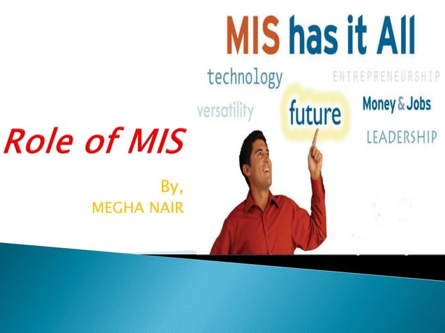 Roles of mis | PDF