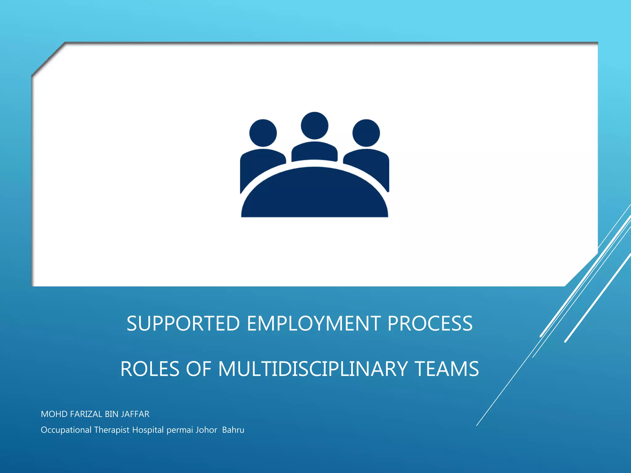 Roles of multidiciplinary team in Supported Employment Process | PPT