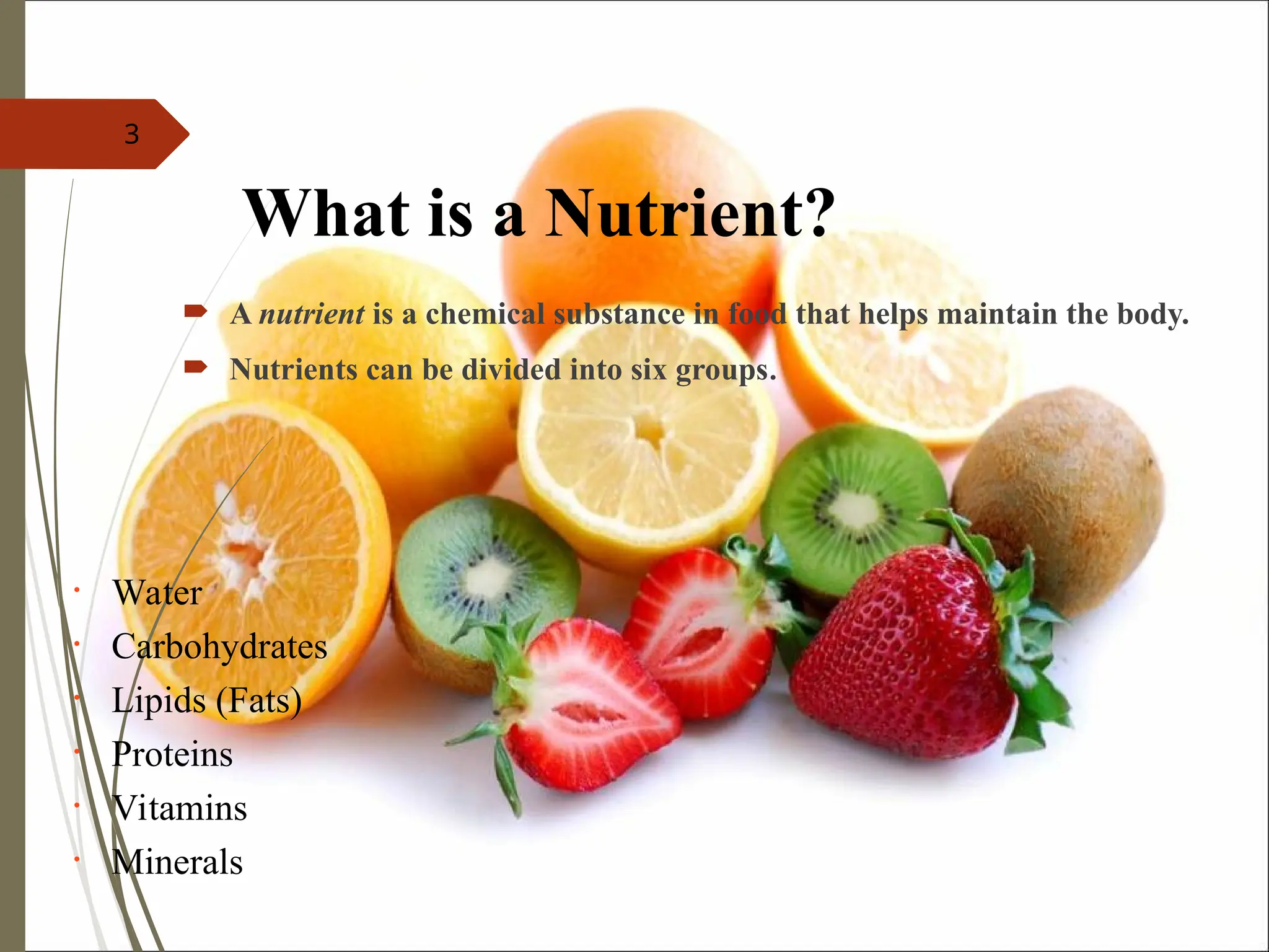 Roles of. NUTRIENTS.ppt