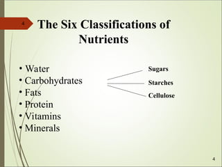Roles of. NUTRIENTS.ppt