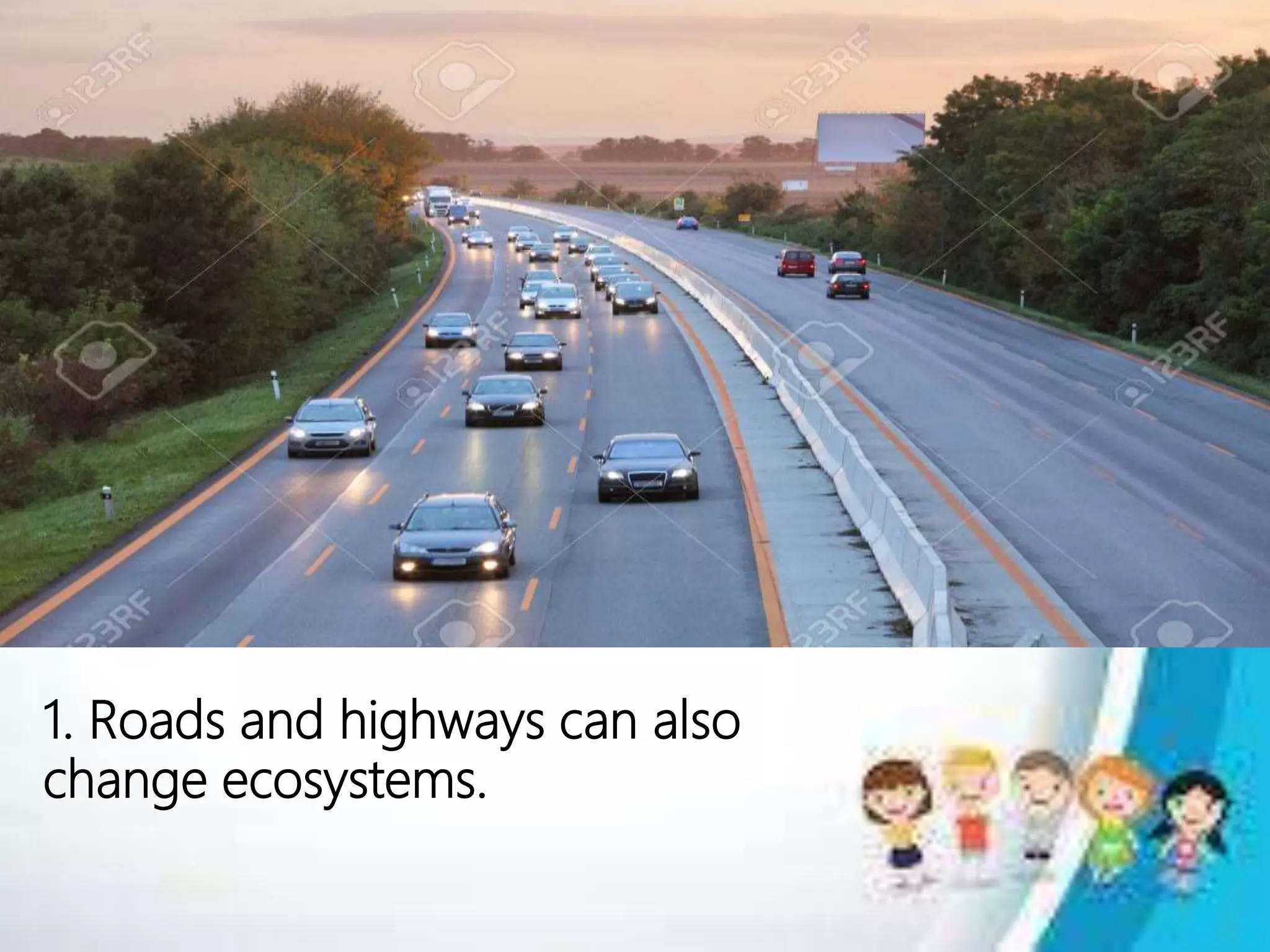 Roles of Organisms in the Ecosystem | PPTX