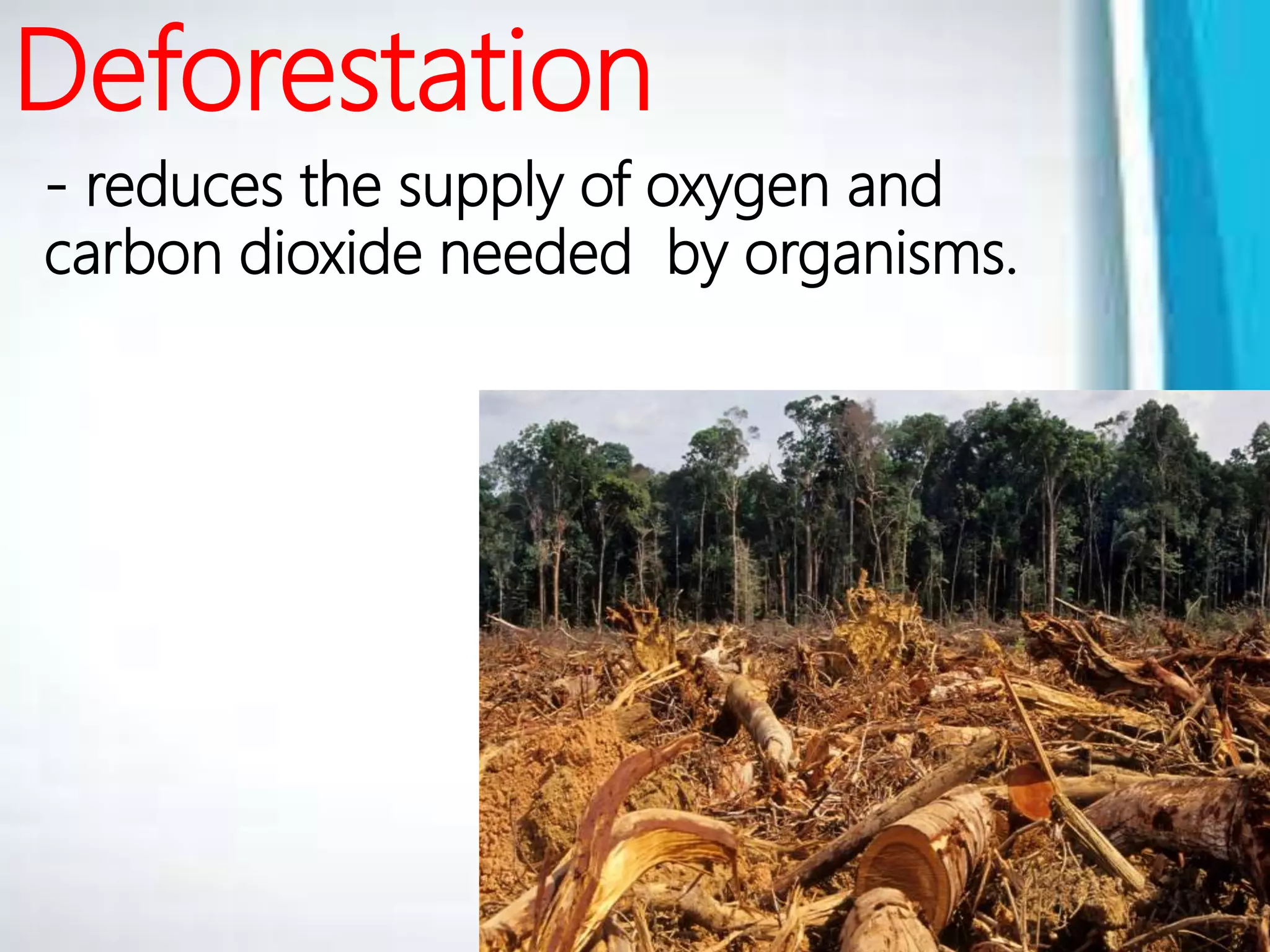 Roles of Organisms in the Ecosystem | PPTX