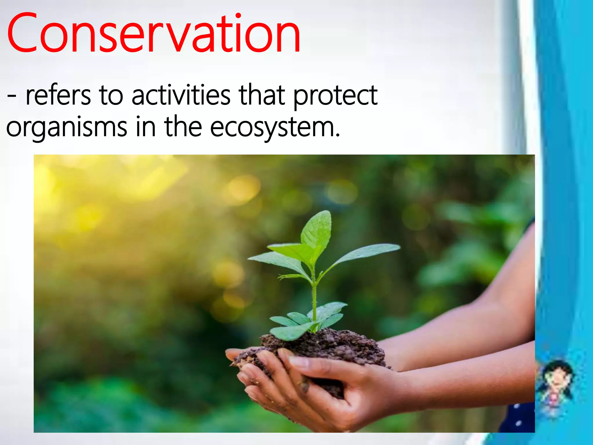 Roles of Organisms in the Ecosystem | PPTX