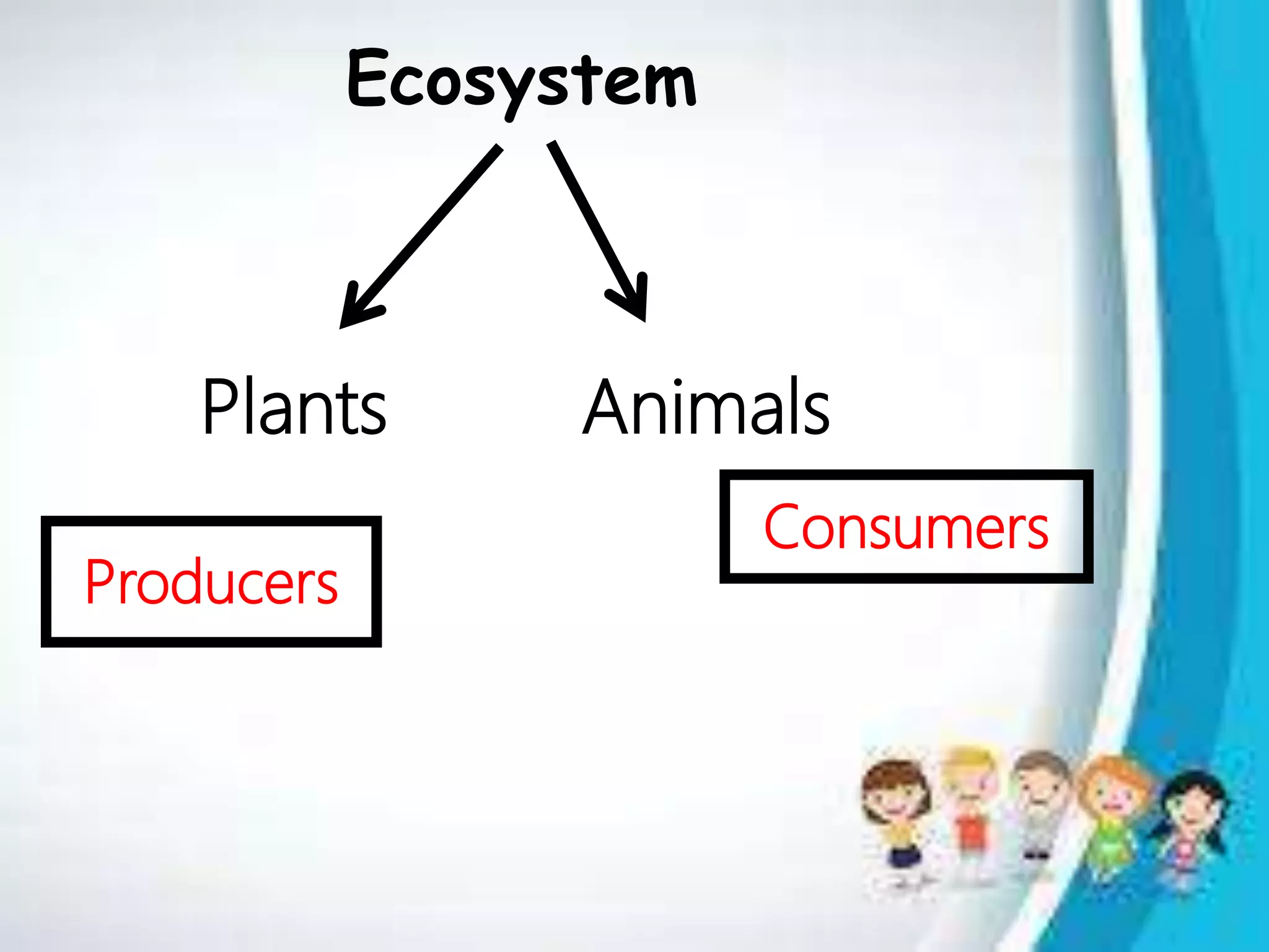 Roles of Organisms in the Ecosystem | PPTX