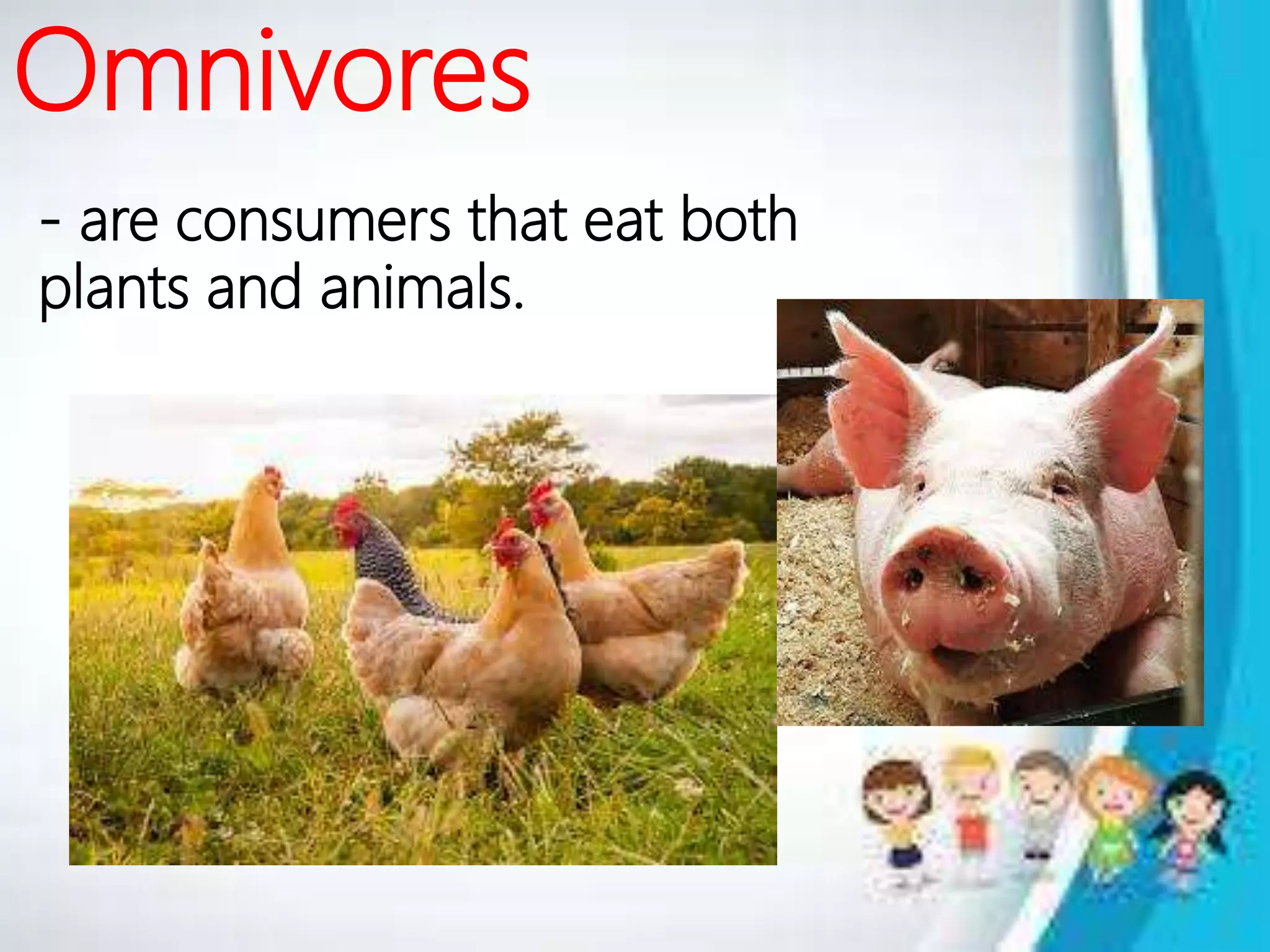 Roles of Organisms in the Ecosystem | PPTX