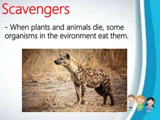 Roles of Organisms in the Ecosystem | PPTX