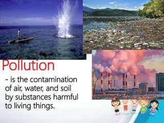 Roles of Organisms in the Ecosystem | PPTX