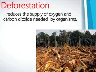 Roles of Organisms in the Ecosystem | PPTX